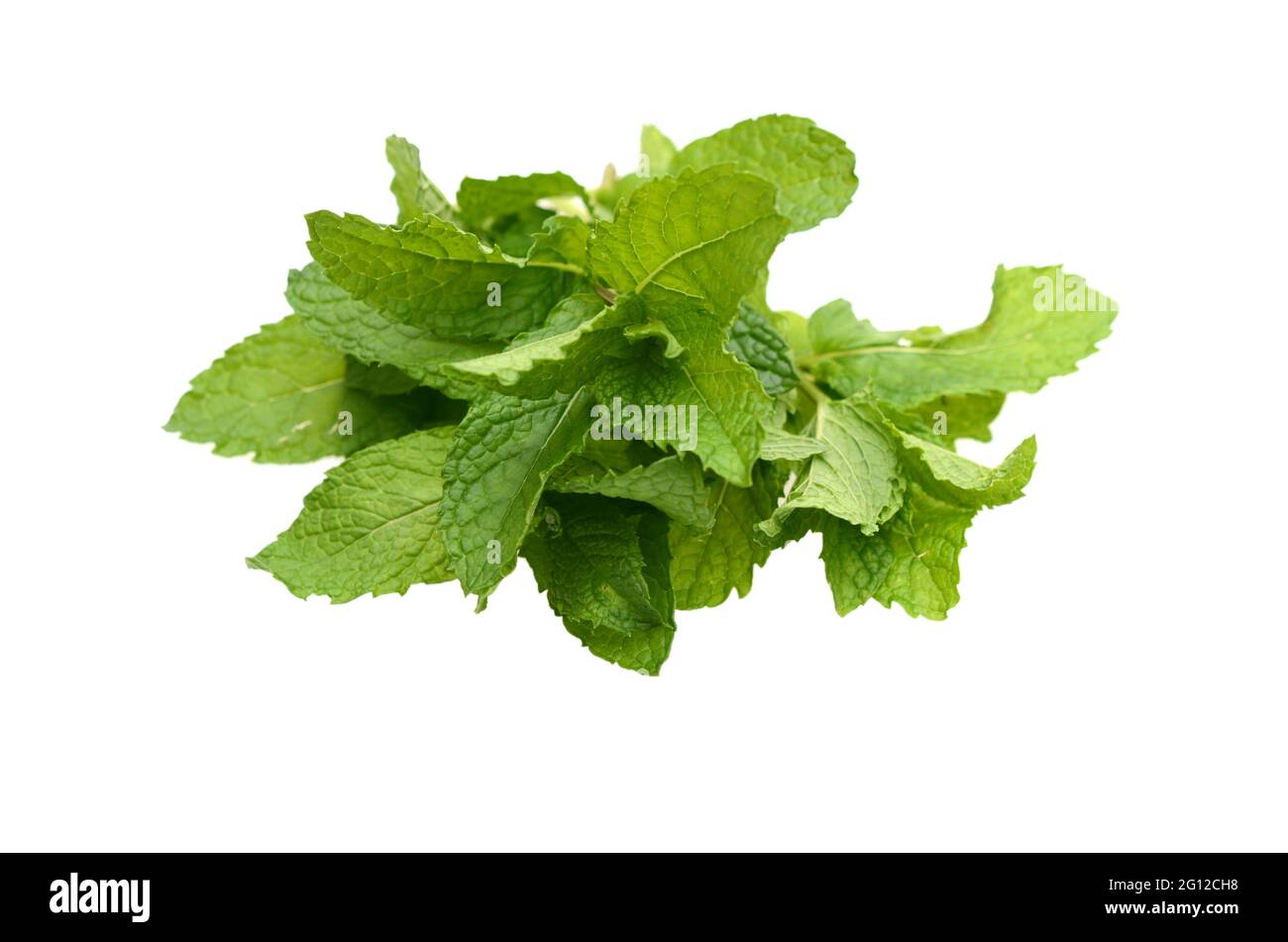 Mint leaves bunch hi-res stock photography and images - Alamy