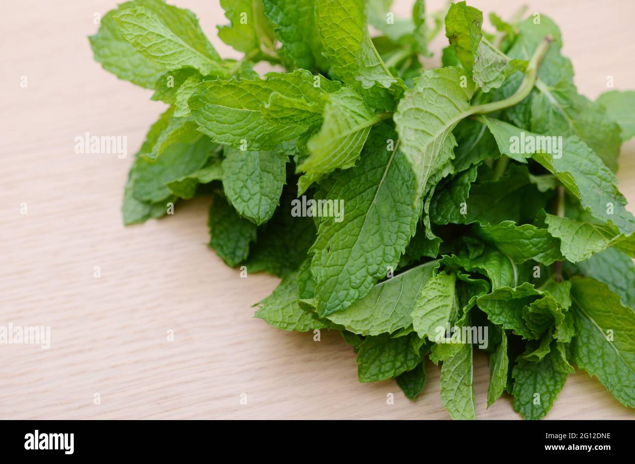 Mint leaves bunch hi-res stock photography and images - Alamy