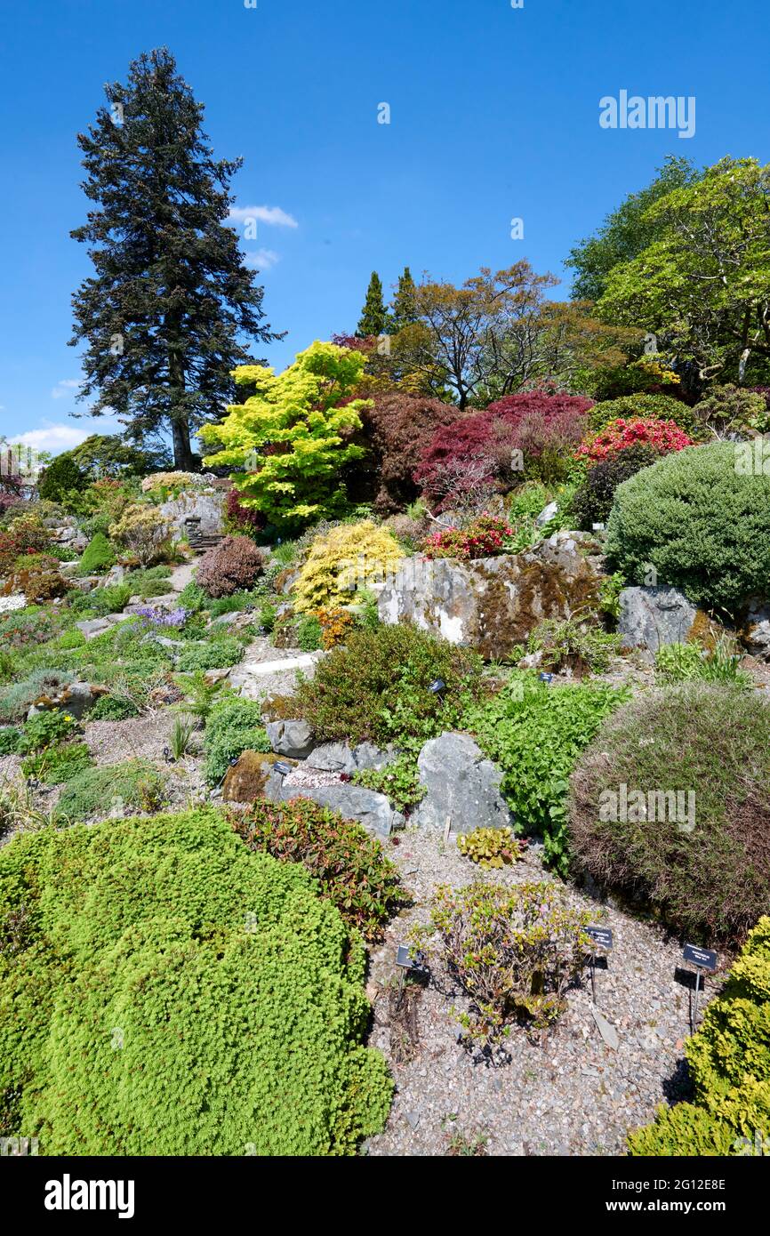 Stunning views of herbaceous borders in the Lake District Uk, GB Stock ...