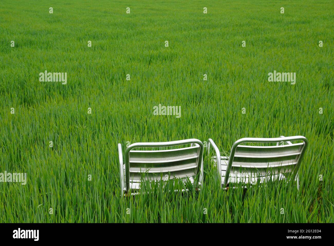 Green park chair hi-res stock photography and images - Alamy