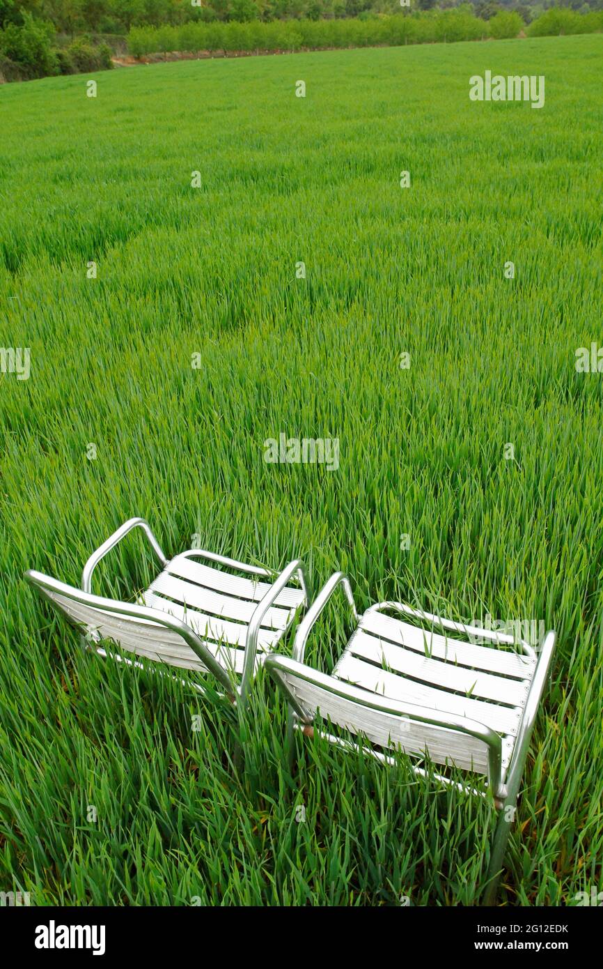 Grass chair hi-res stock photography and images - Alamy