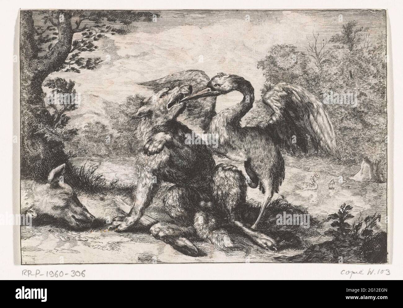 Wolf and crane. With his beak, a crane gets a bone from the neck of a ...