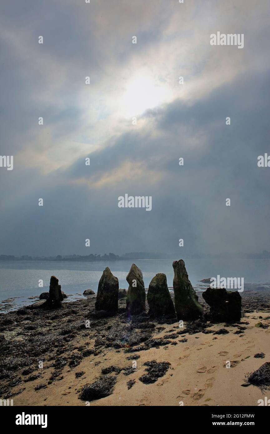 FRANCE, BRITTANY, GOLFE DU MORBIHAN, ER LANNIC ISLAND, CROMLECH Stock ...