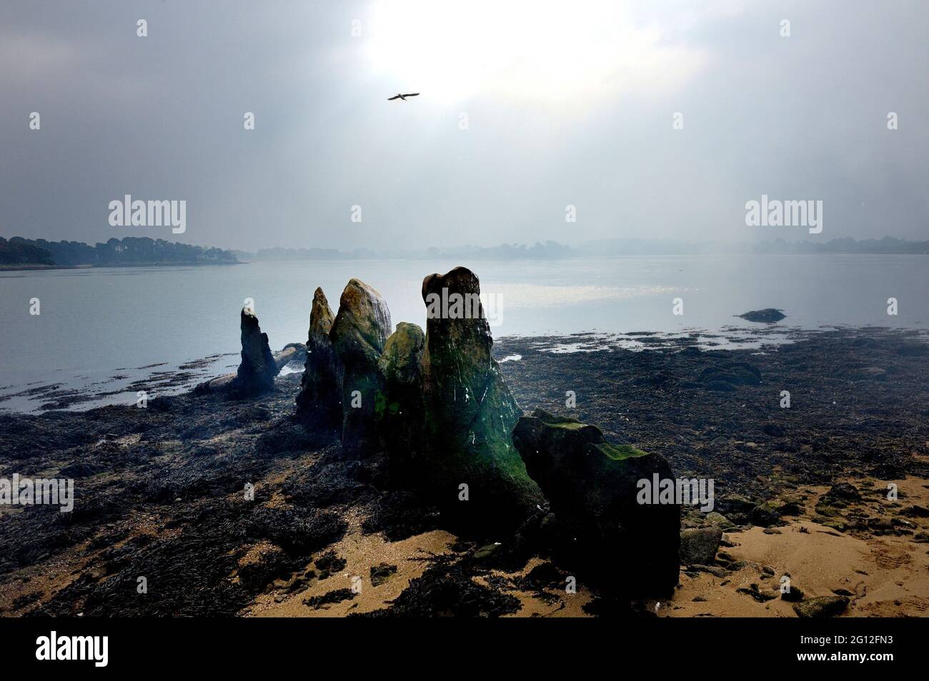 FRANCE, BRITTANY, GOLFE DU MORBIHAN, ER LANNIC ISLAND, CROMLECH Stock ...
