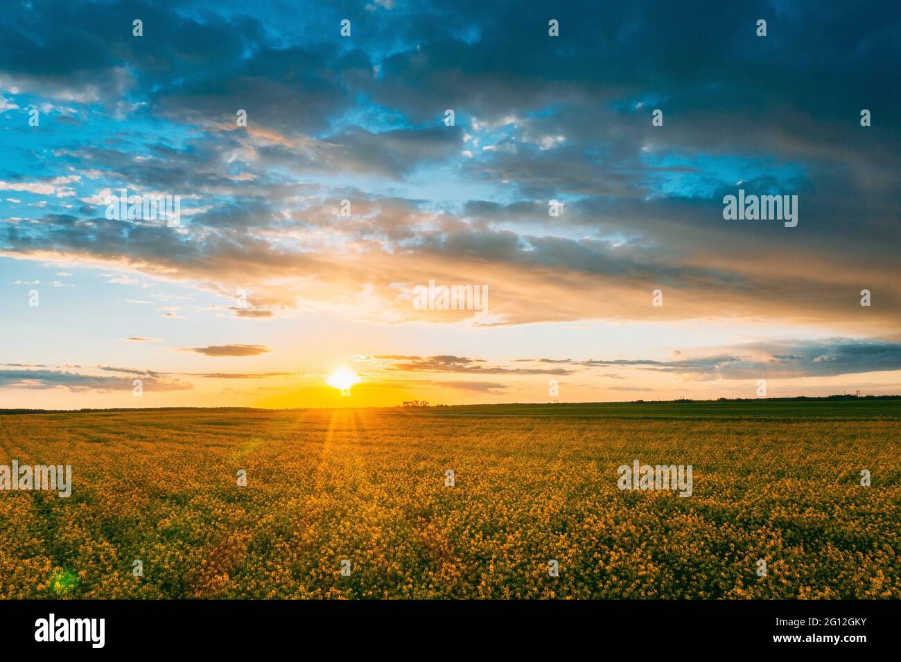 Bright Sunshine Landscape High Resolution Stock Photography and Images ...