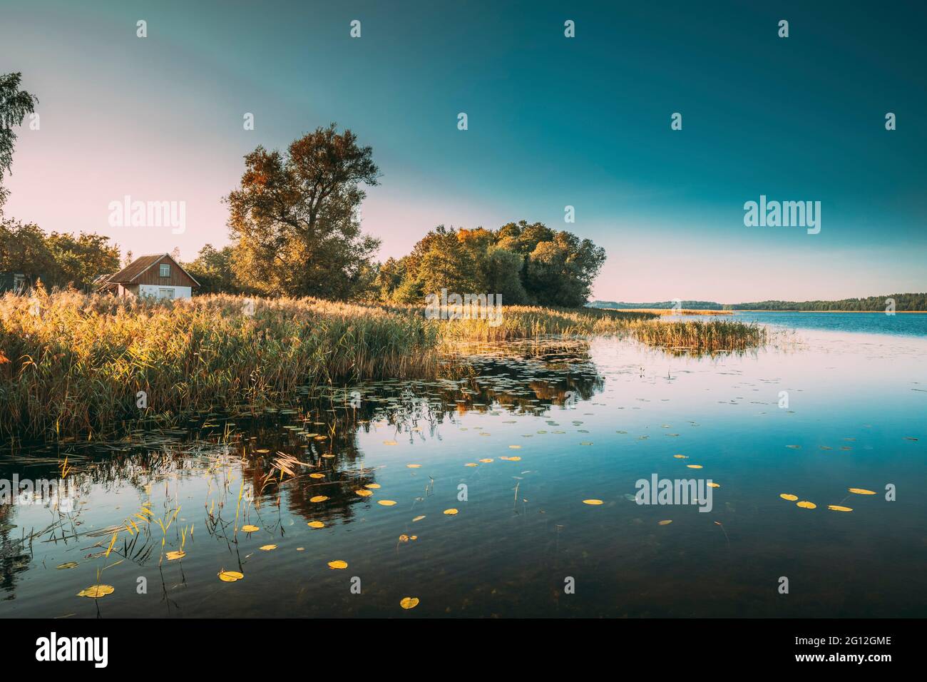 Pretty Summer Nature Pictures