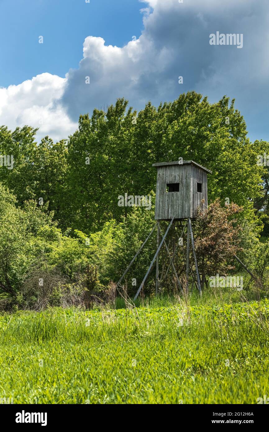 Hunting season. Hogs watchtower on a summer morning, hunting tower ...