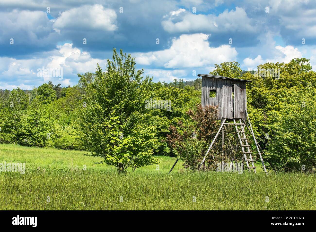 Hunting season. Hogs watchtower on a summer morning, hunting tower ...