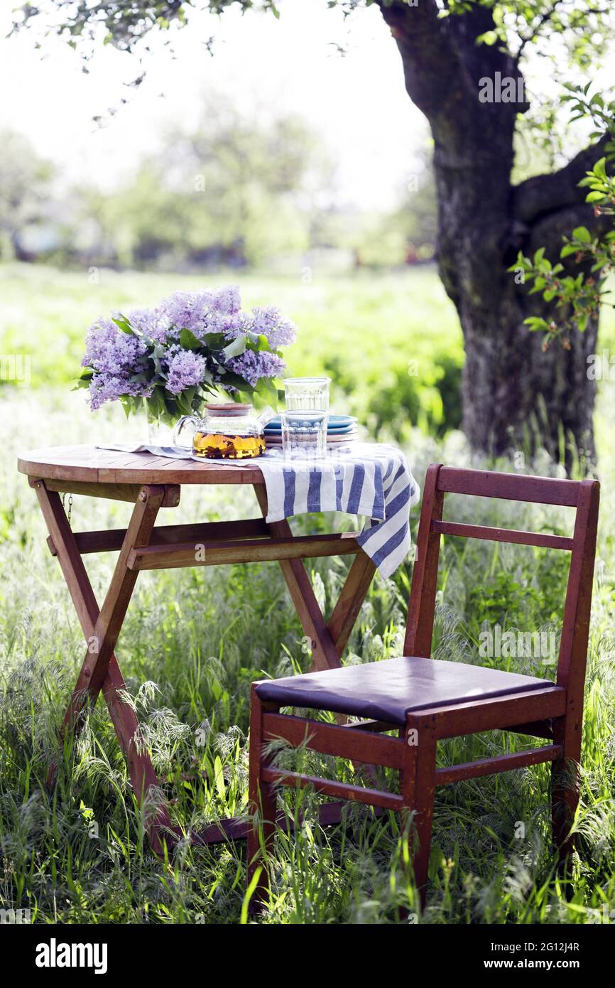 tea party in the garden. bouquet of lilacs, tea and glasses on the ...