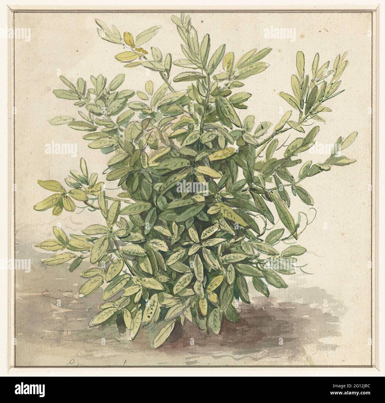 Serene visual study hi-res stock photography and images - Alamy