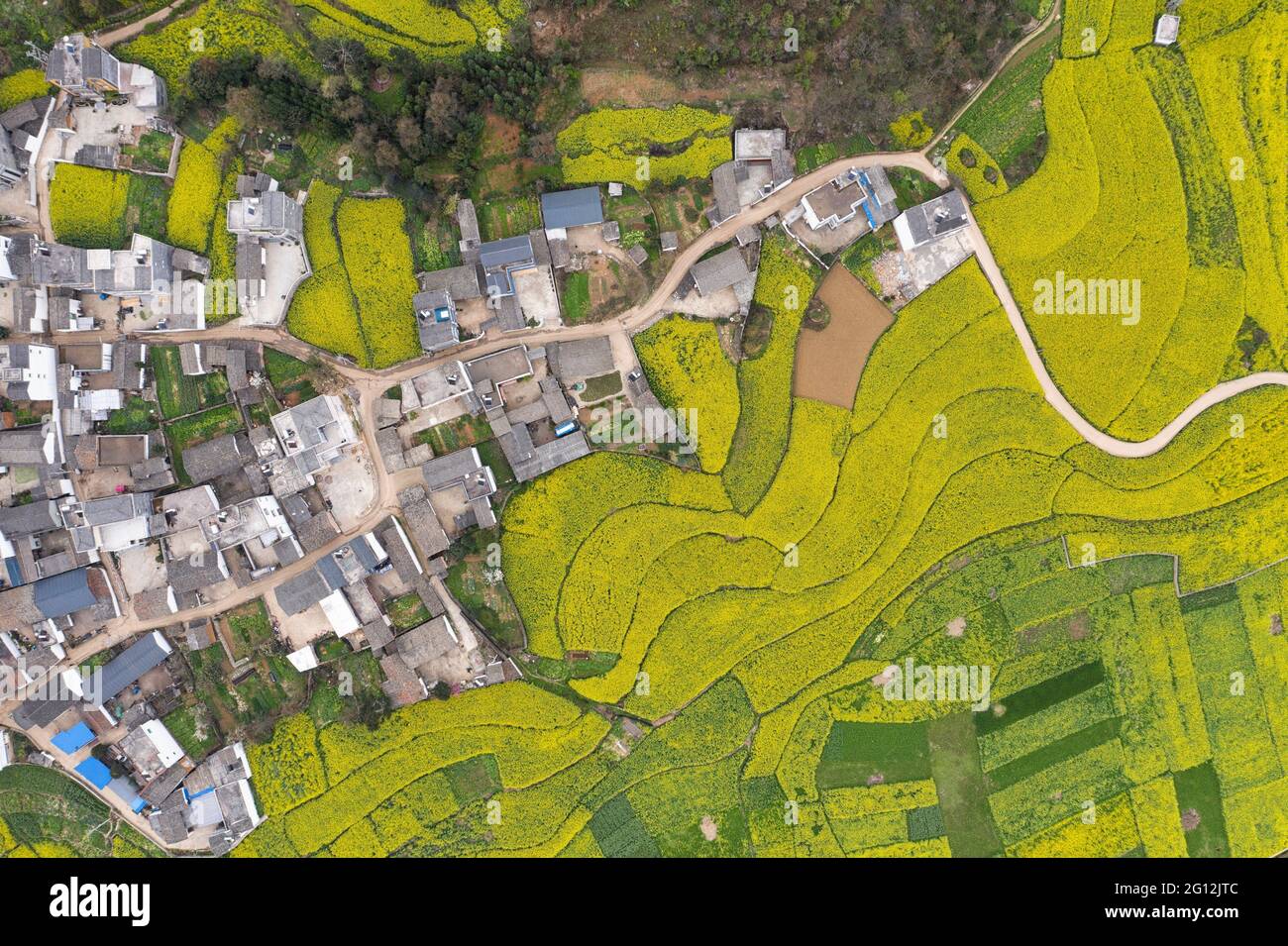 Aerial view above flower farm hi-res stock photography and images - Alamy