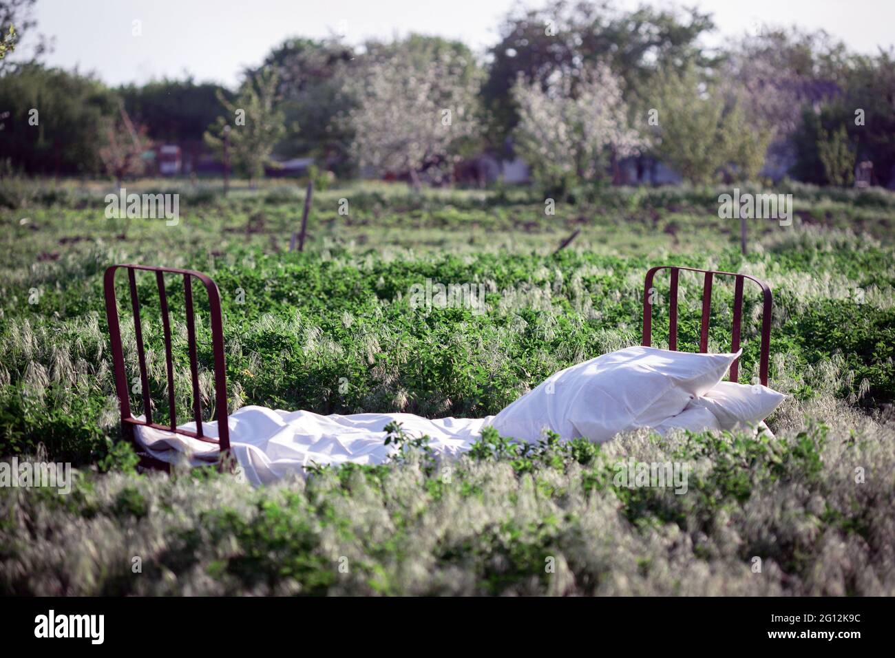 bed in a green field. healthy sleep in nature Stock Photo - Alamy
