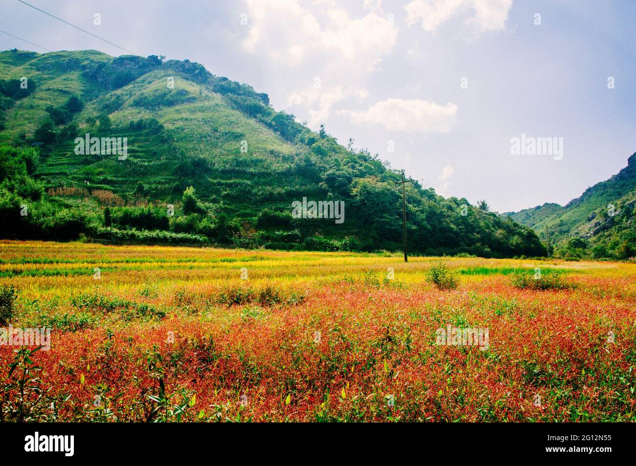 Pastoral autumn scenery with the background of the mountains Stock ...