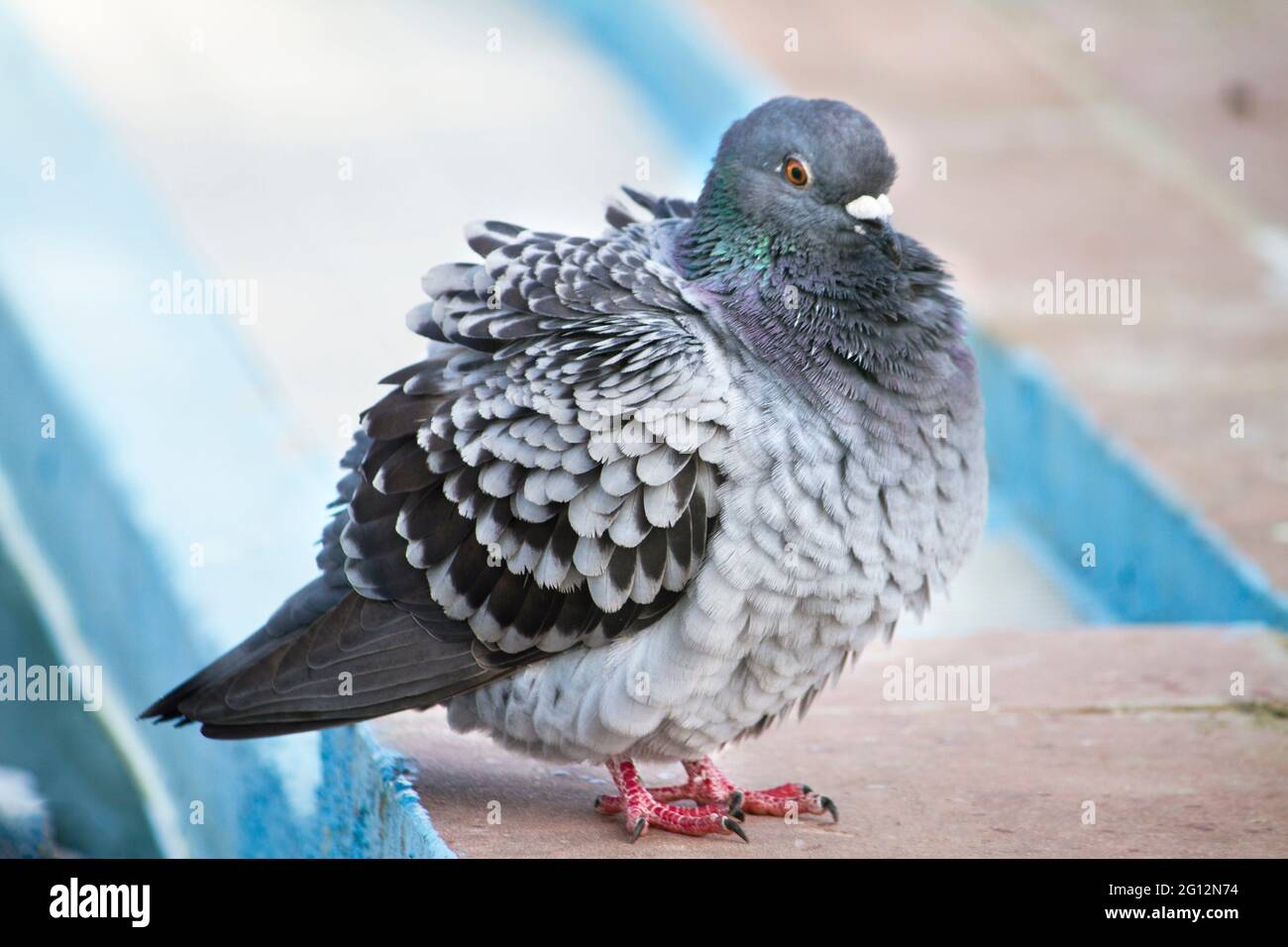 Natural temperature hi-res stock photography and images - Alamy