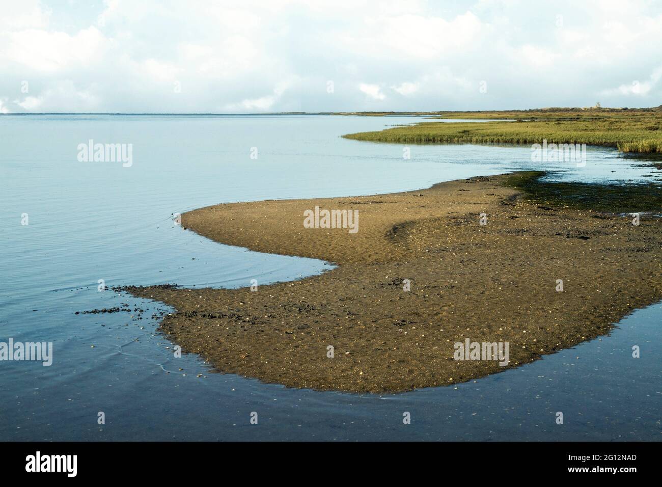 Ria formosa faro hi-res stock photography and images - Alamy