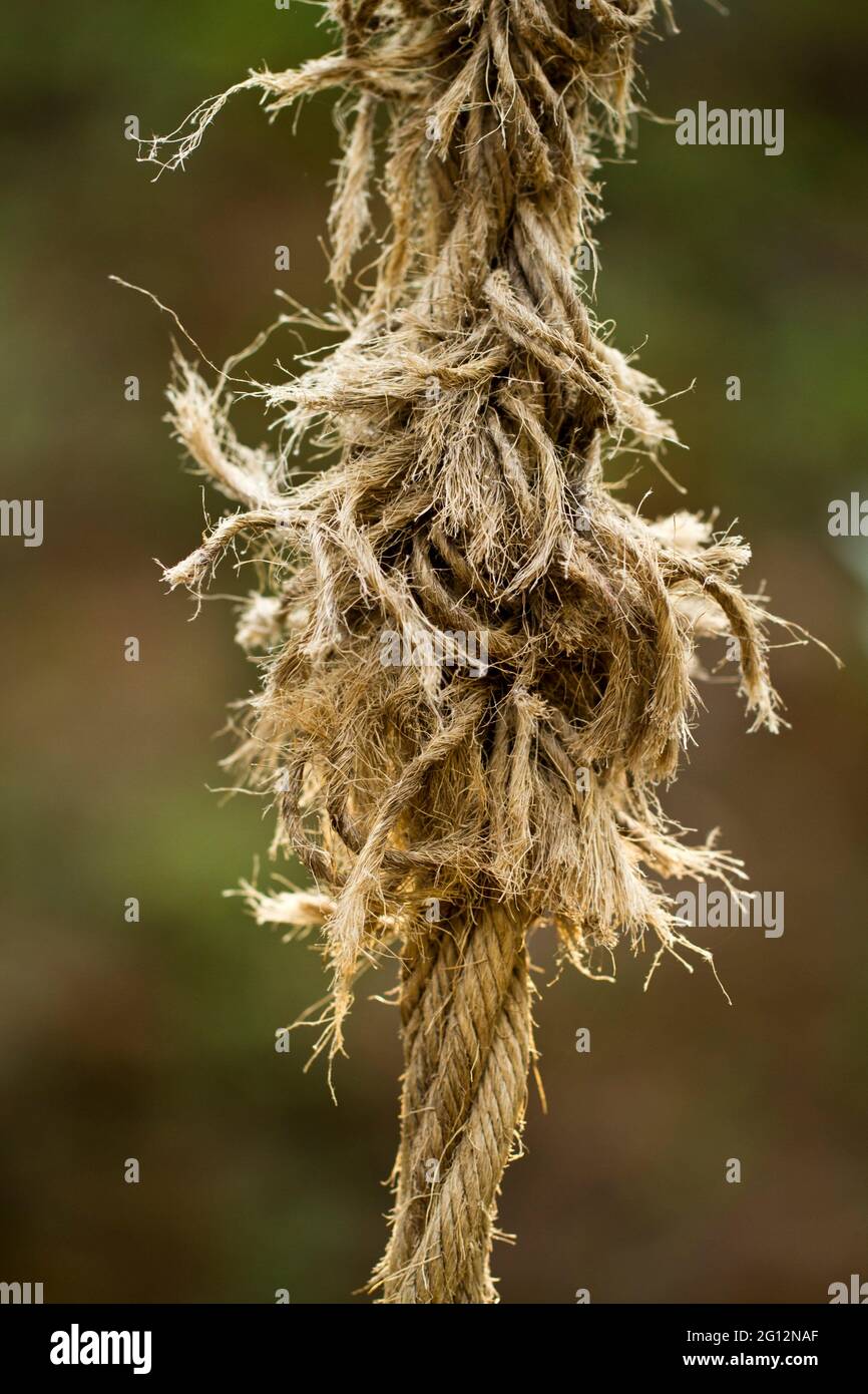 Old cut rope hi-res stock photography and images - Alamy