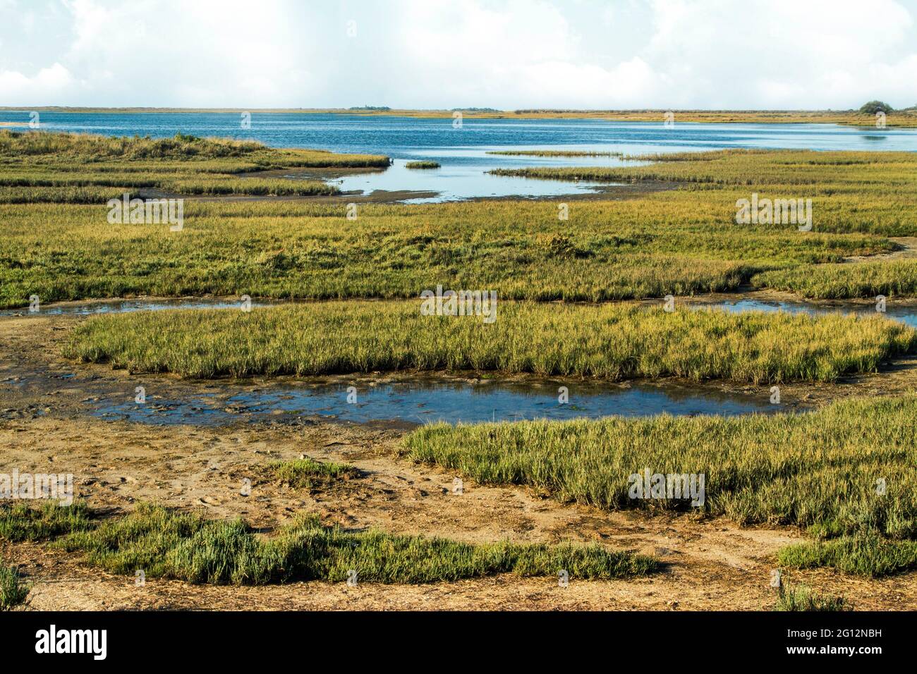 Portuguese ria hi-res stock photography and images - Alamy