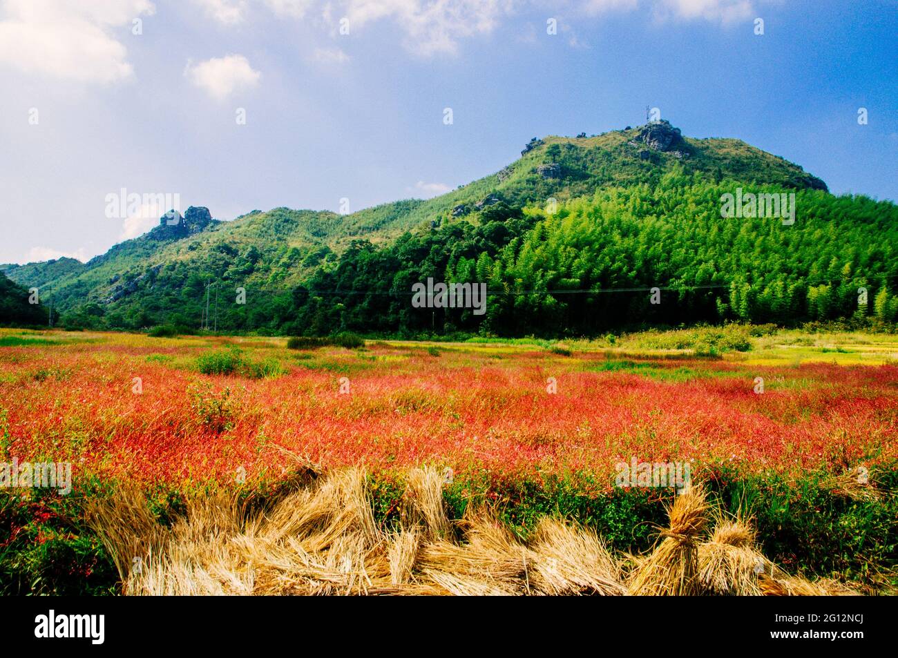 Pastoral autumn scenery with the background of the mountains Stock ...