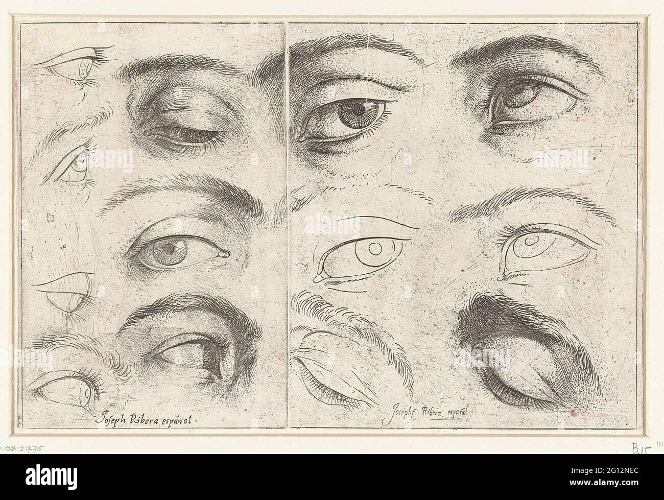 Eye studies hi-res stock photography and images - Alamy