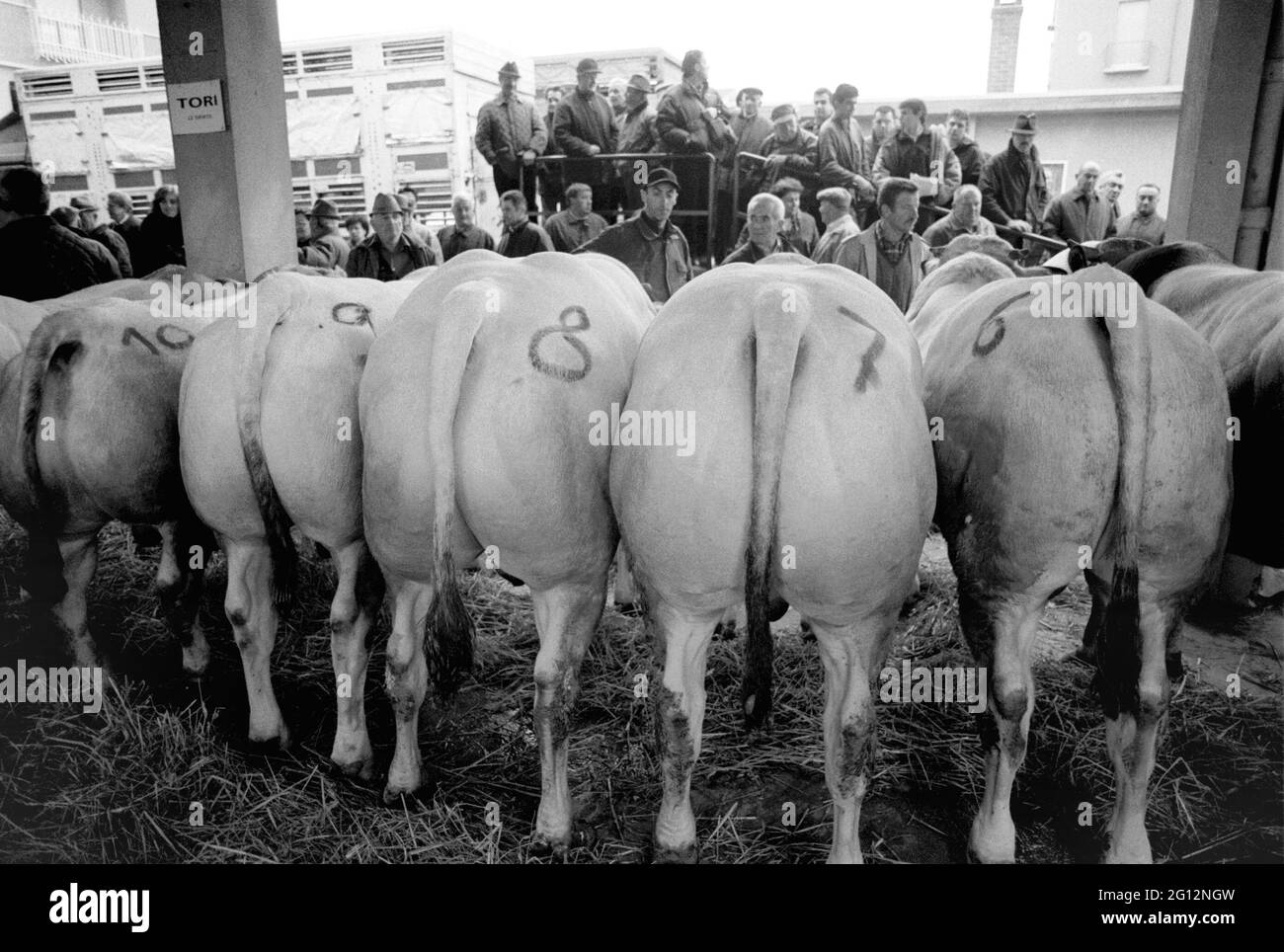 Carne bianca hi-res stock photography and images - Alamy