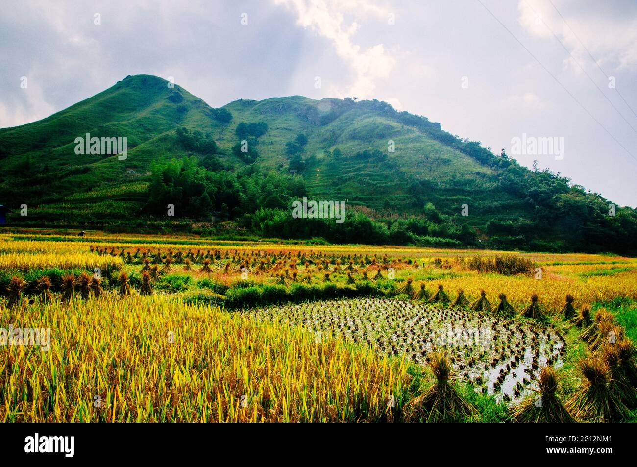 Pastoral autumn scenery with the background of the mountains Stock ...