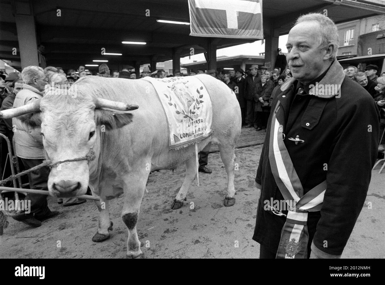 Allevamento bovini italia hi-res stock photography and images - Alamy