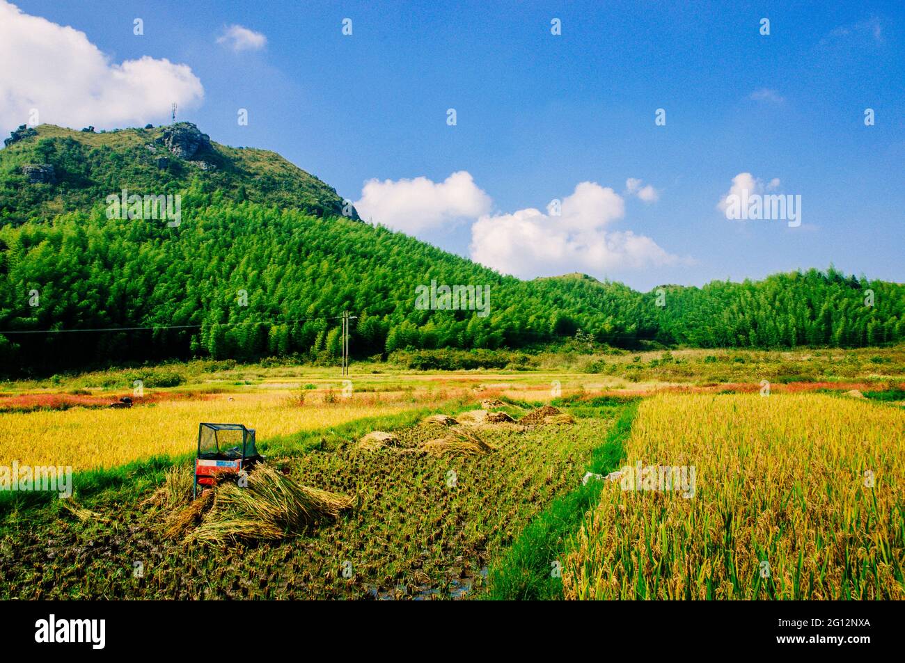 Pastoral autumn scenery with the background of the mountains Stock ...