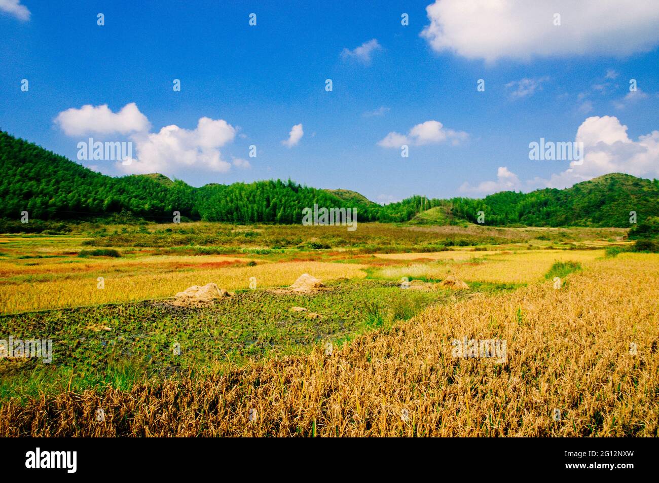 Pastoral autumn scenery with the background of the mountains Stock ...