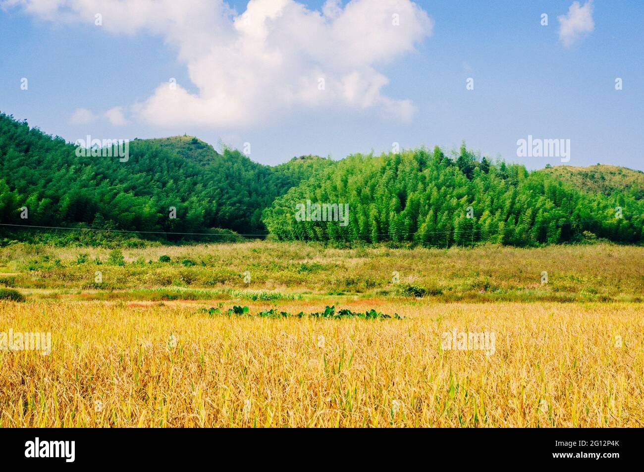 Pastoral autumn scenery with the background of the mountains Stock ...