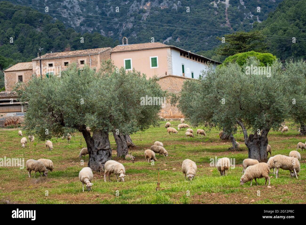 Alqueria mallorca hi-res stock photography and images - Alamy