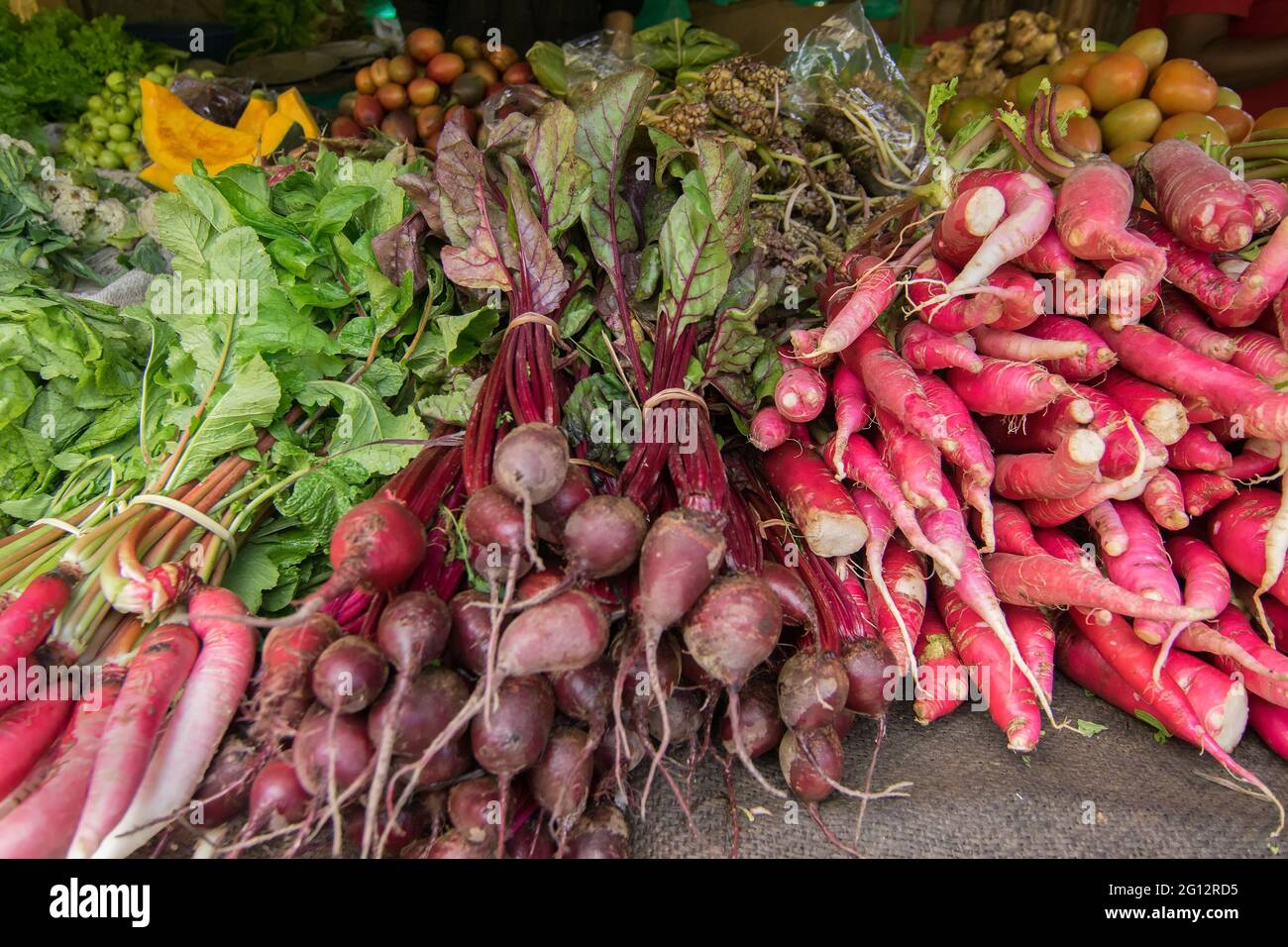 Fresh green vegetables , radish green , agricultural products of Sikkim ...