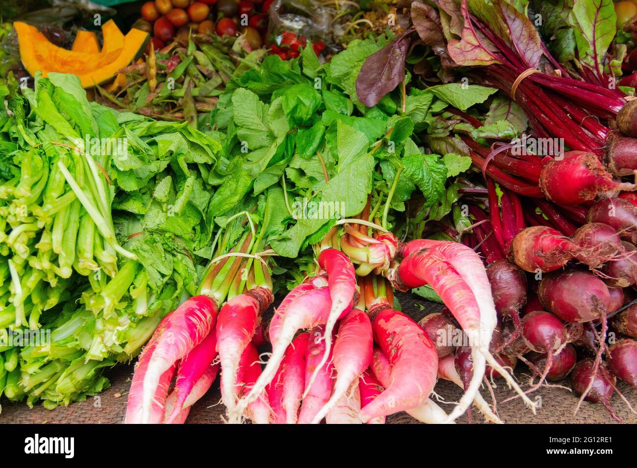Fresh green vegetables , radish green , agricultural products of Sikkim ...