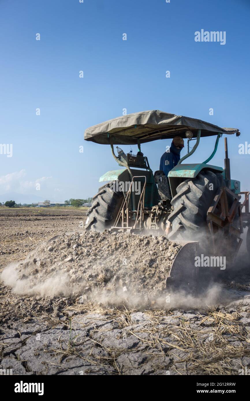 Land leveling by tractor in paddy field Stock Photo - Alamy