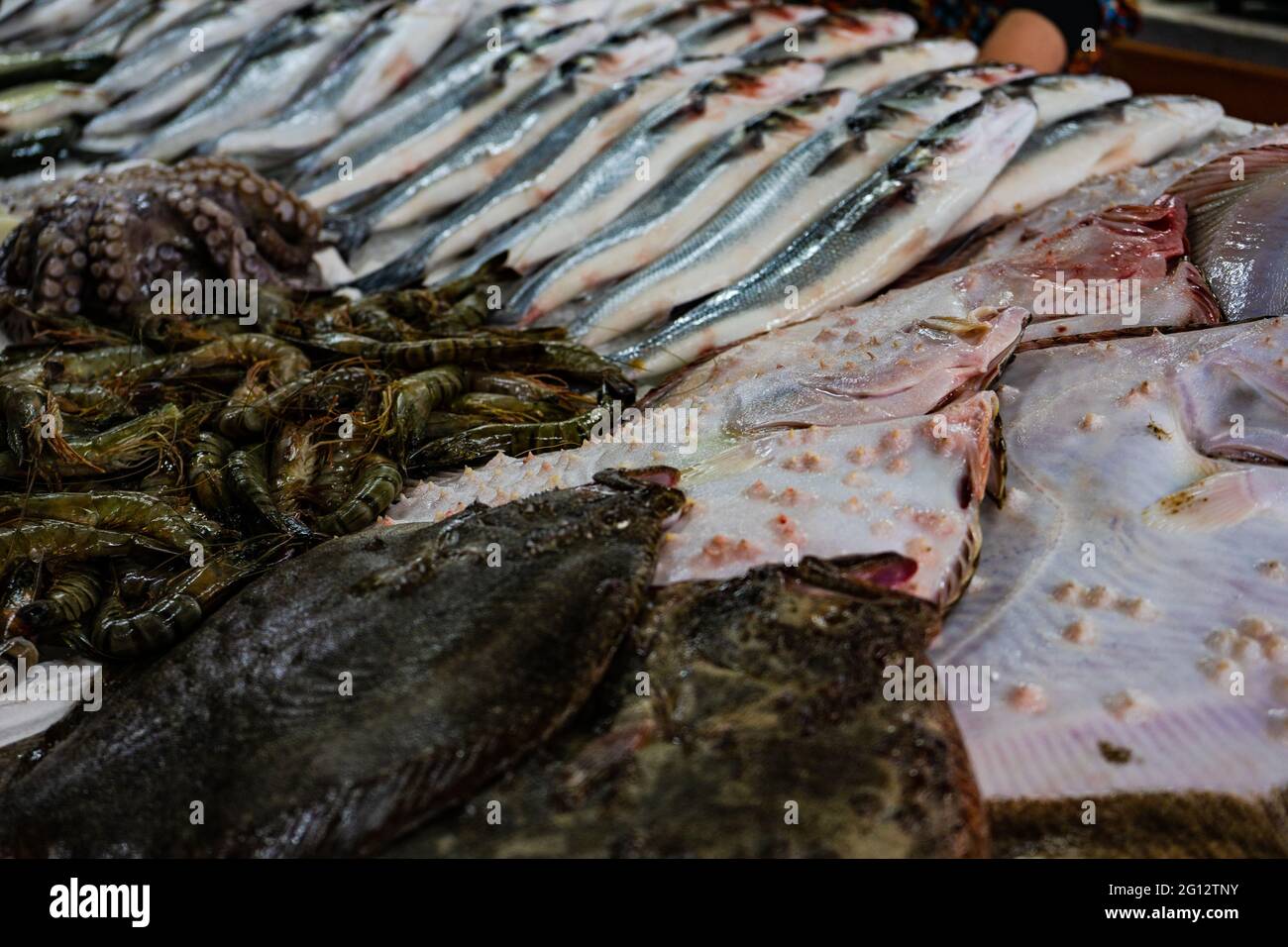 Raw fish on Batumi fish market in Georgia Stock Photo - Alamy