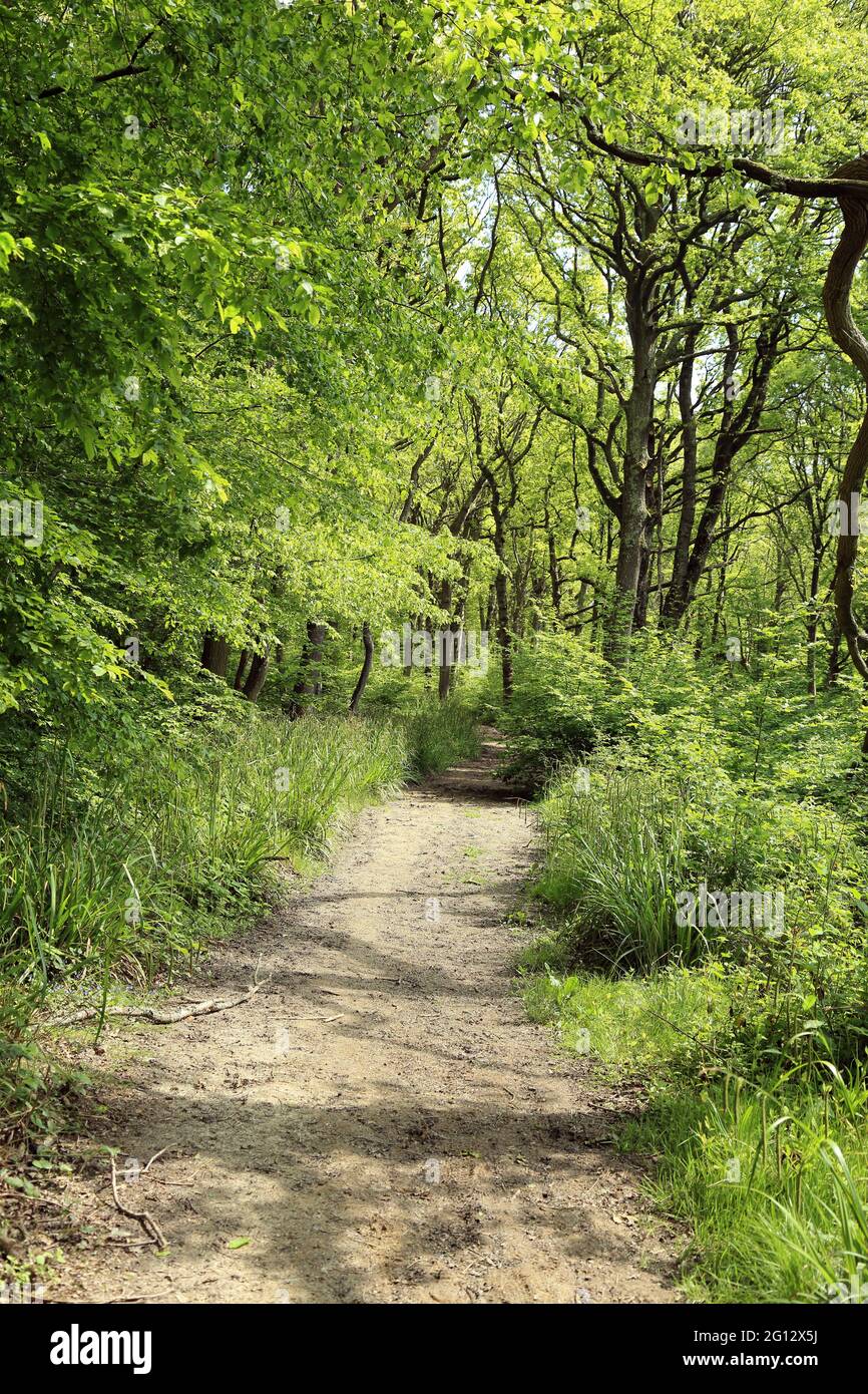 Hiking ham street hi-res stock photography and images - Alamy