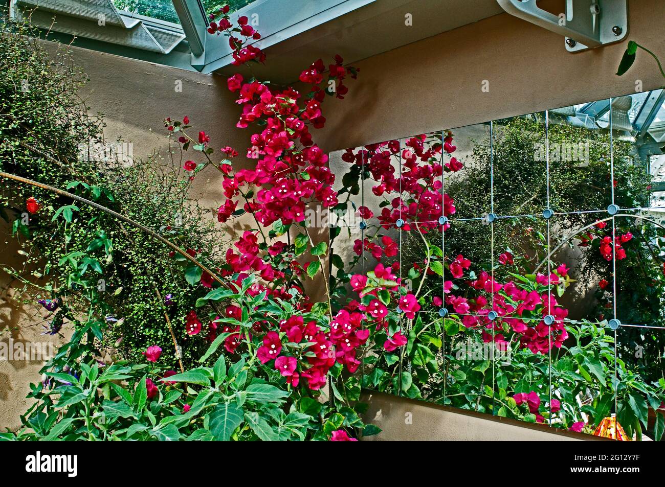 Conservatories hi-res stock photography and images - Alamy