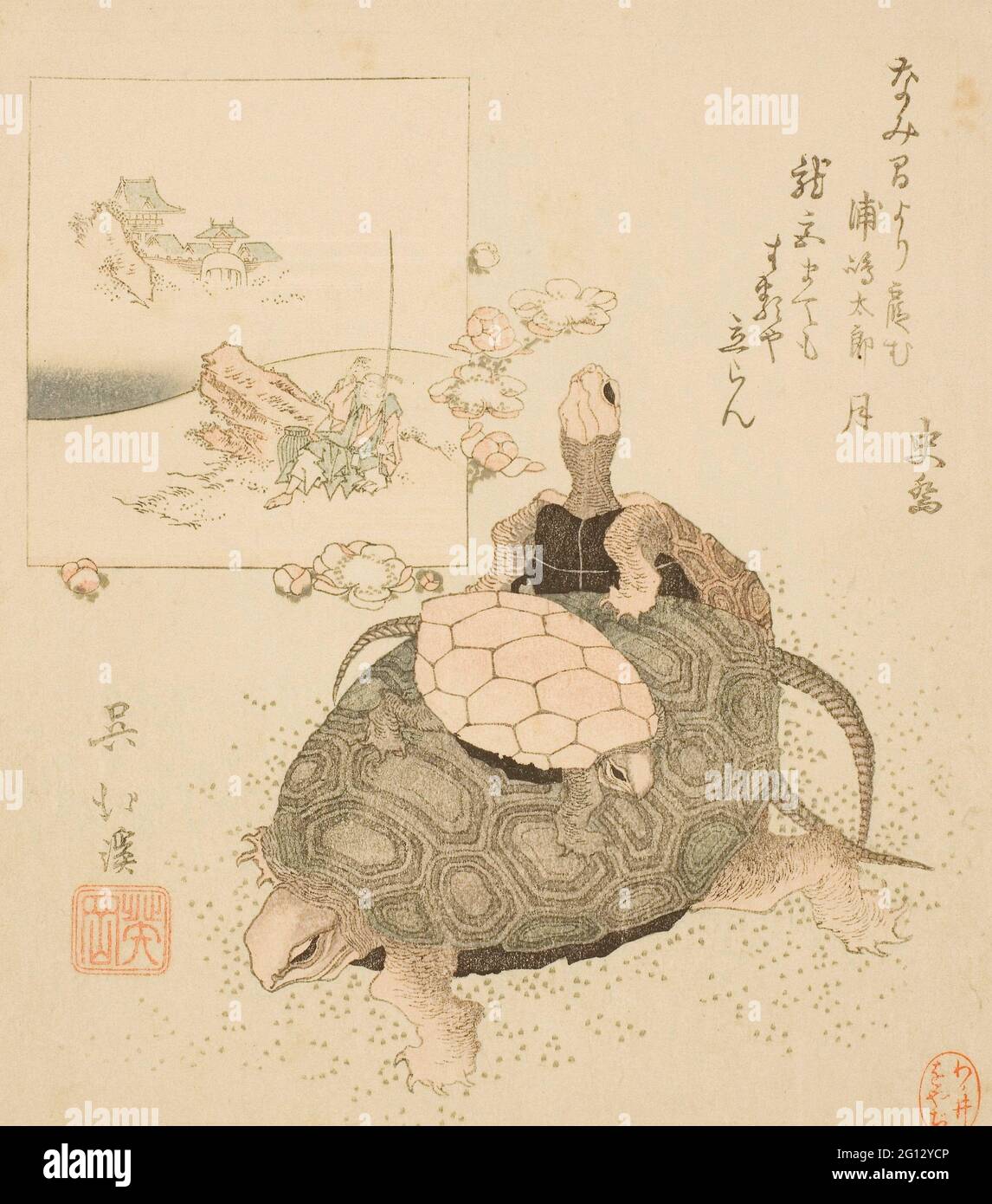 Urashima taro turtle hi-res stock photography and images - Alamy