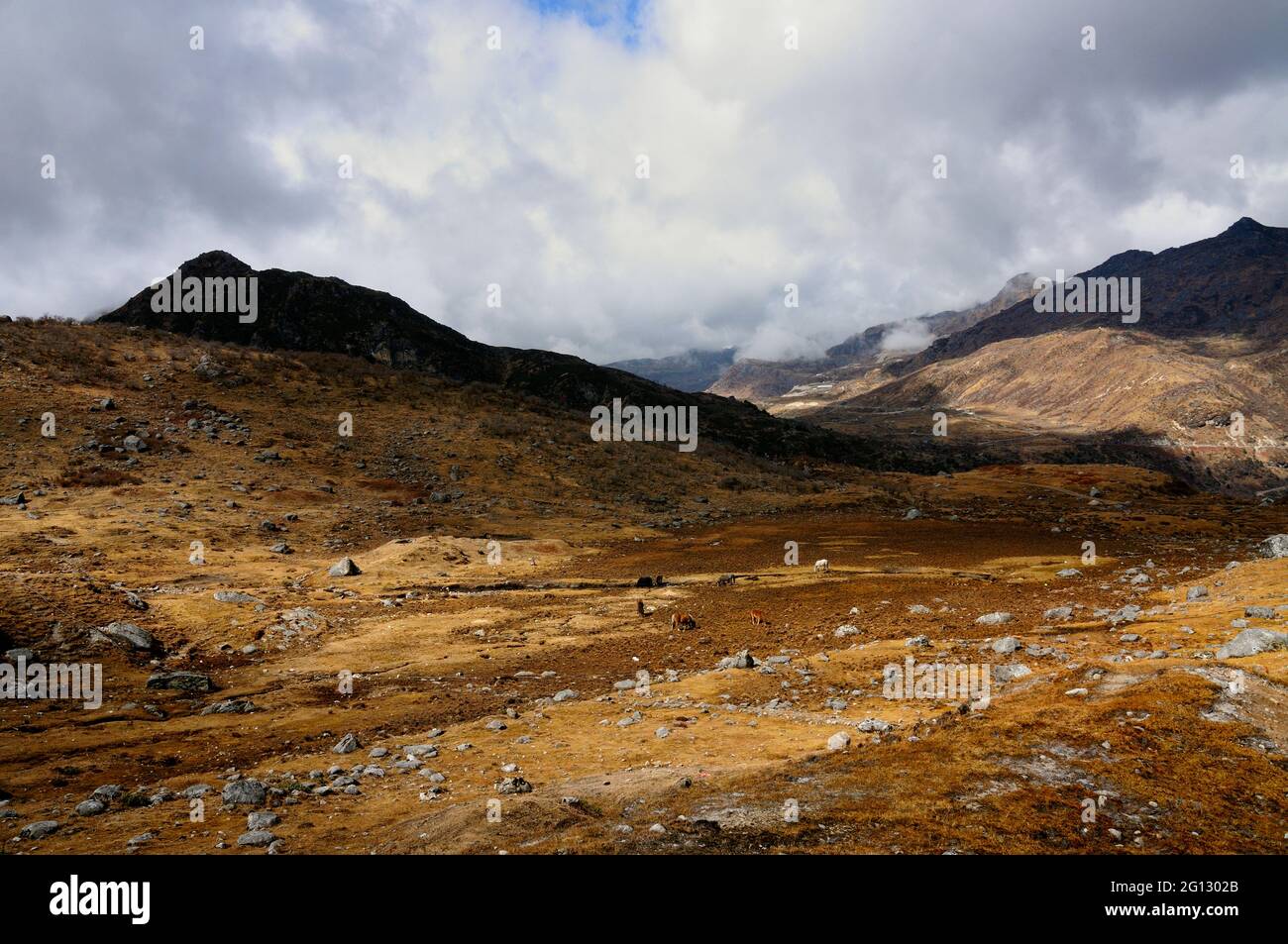 Kupup valley hi-res stock photography and images - Alamy