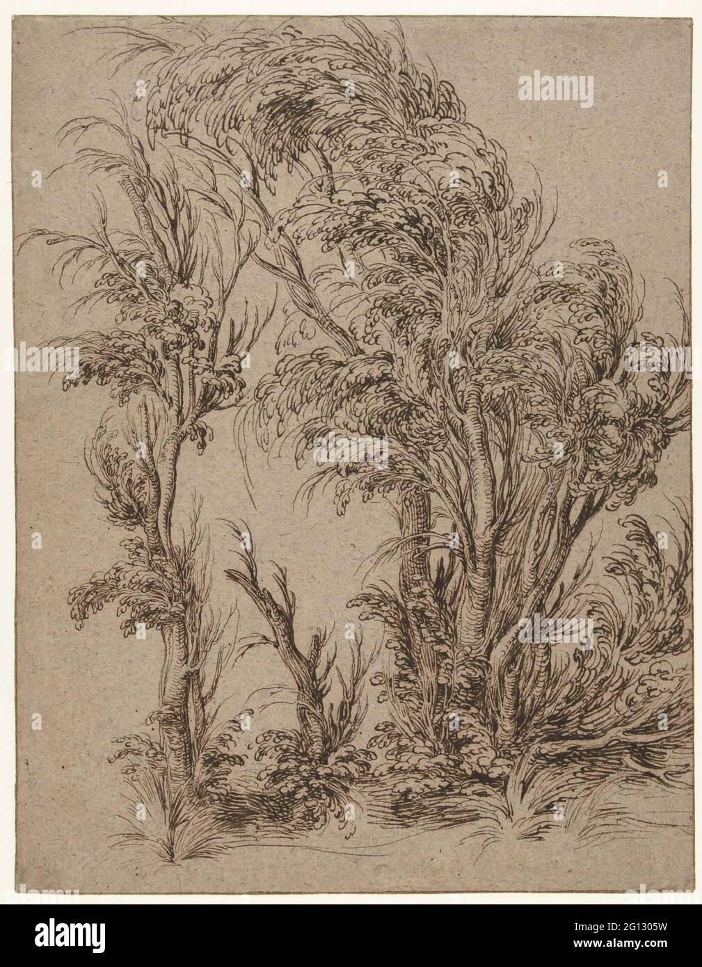 Wind blowing trees drawing hi-res stock photography and images - Alamy