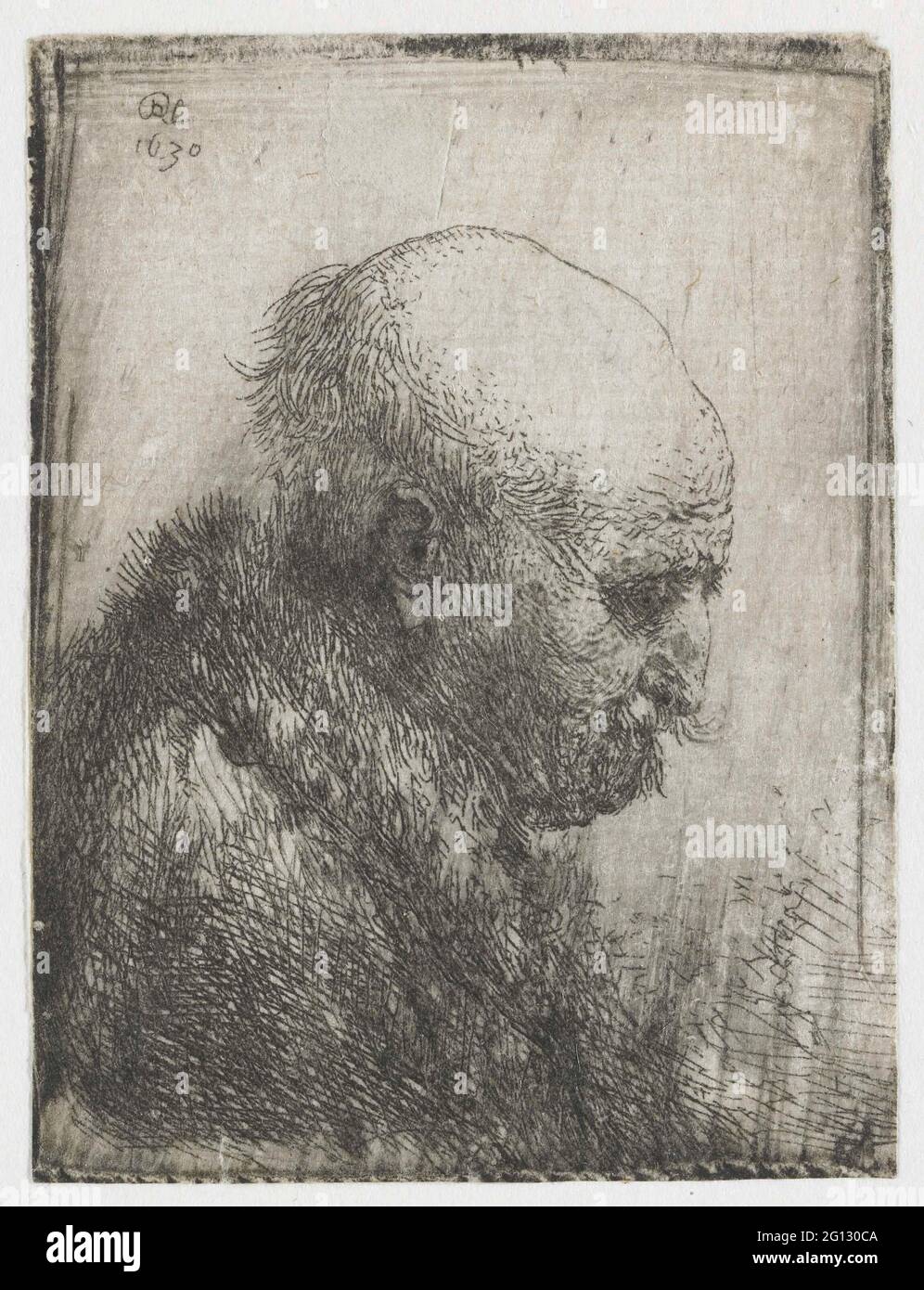 Bald man: profile to the right; Rembrandt's father Stock Photo - Alamy