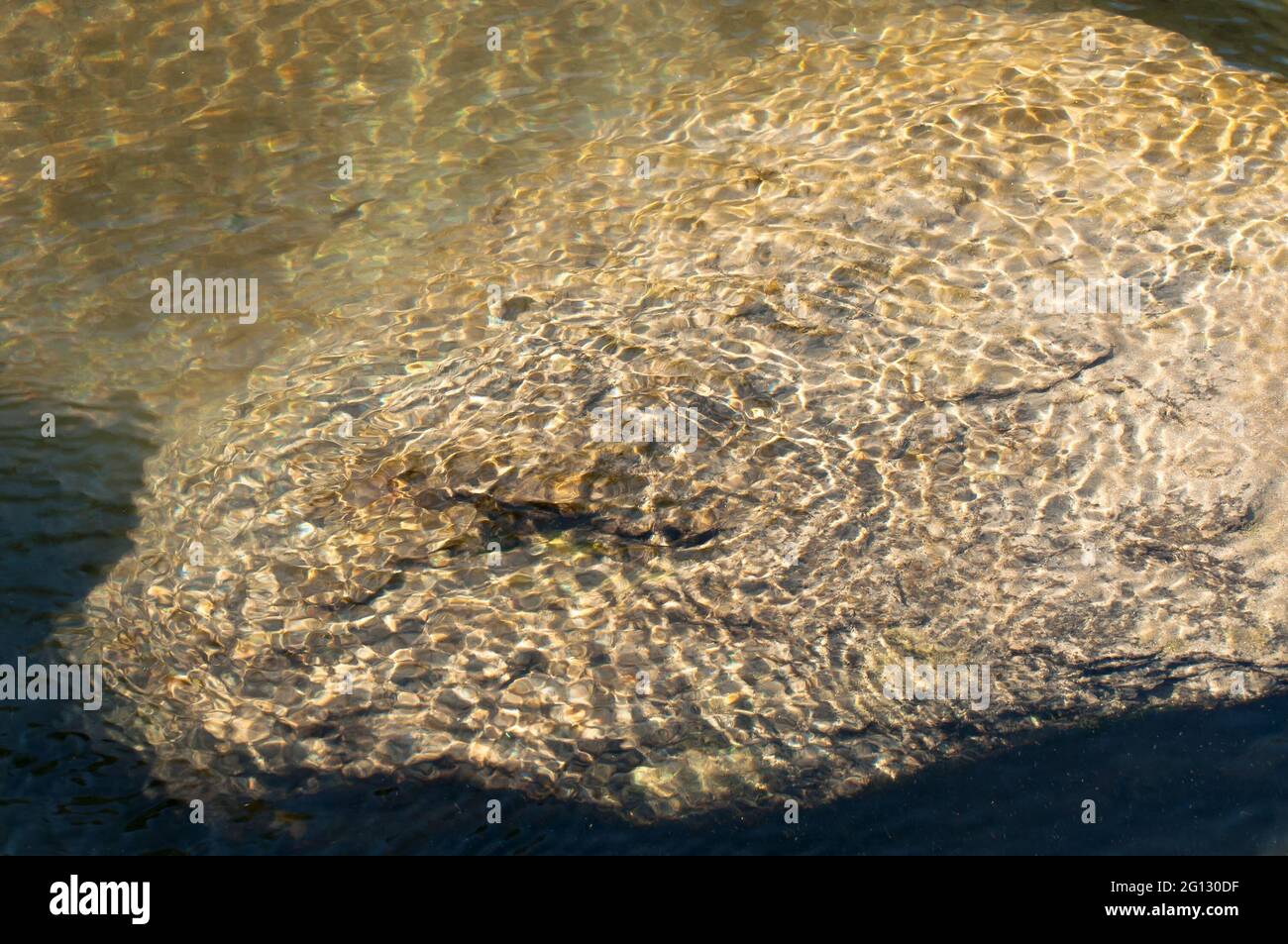 Sunrays reflecting from stones and rocks underwater - creating ...