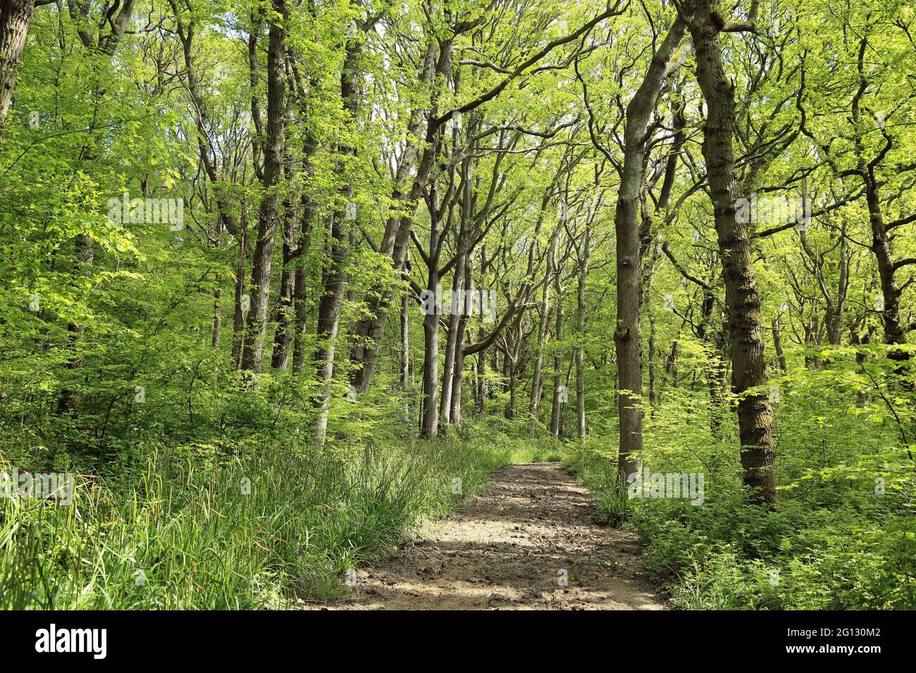 Hiking ham street hi-res stock photography and images - Alamy
