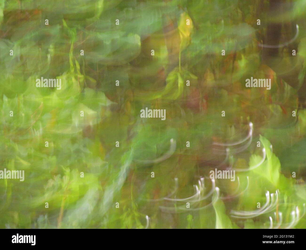 Natural green texture with a strong blur effect, plant elements Stock ...