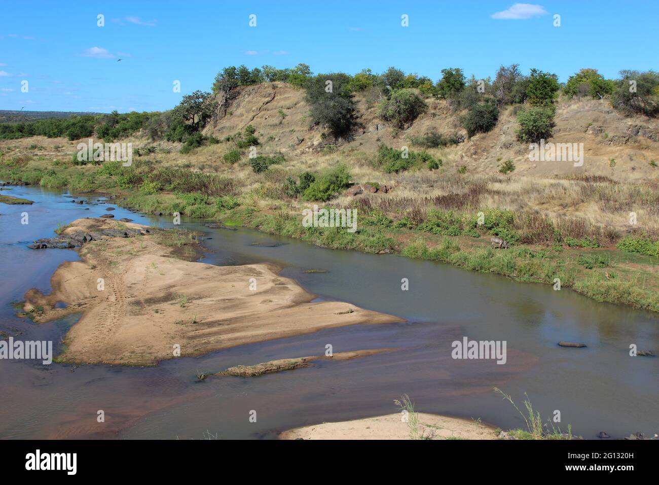 Letaba River / Letaba River Stock Photo - Alamy