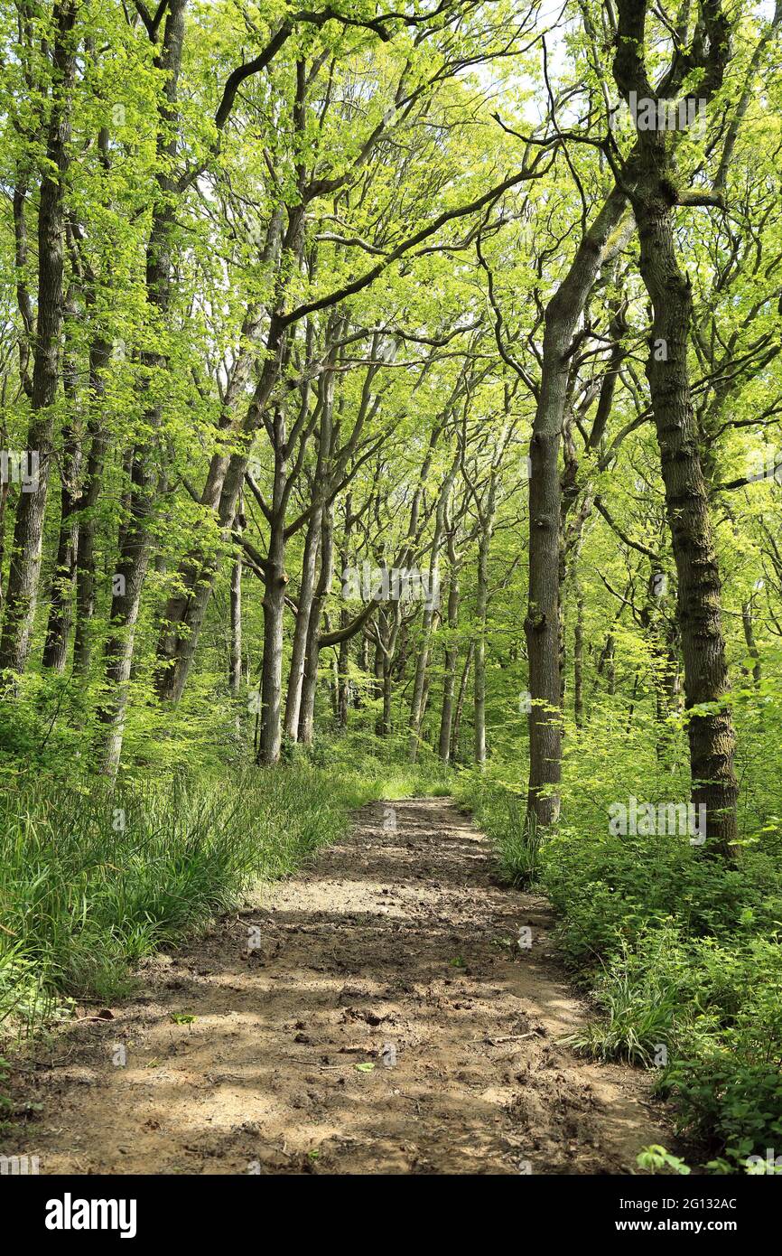 Hiking ham street hi-res stock photography and images - Alamy