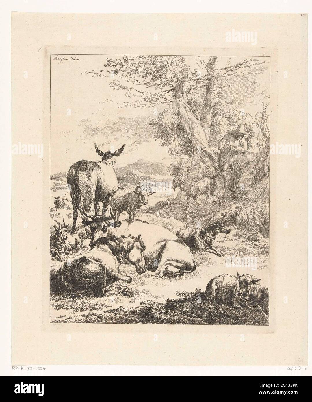 Shepherd with resting herd Stock Photo - Alamy