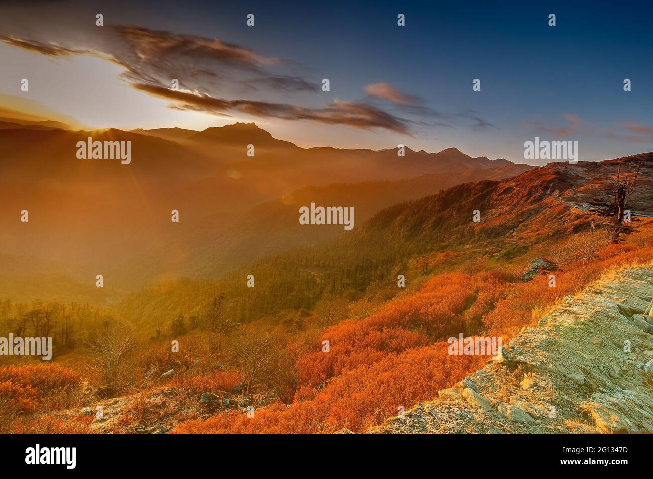 Himalayan chilly hi-res stock photography and images - Alamy