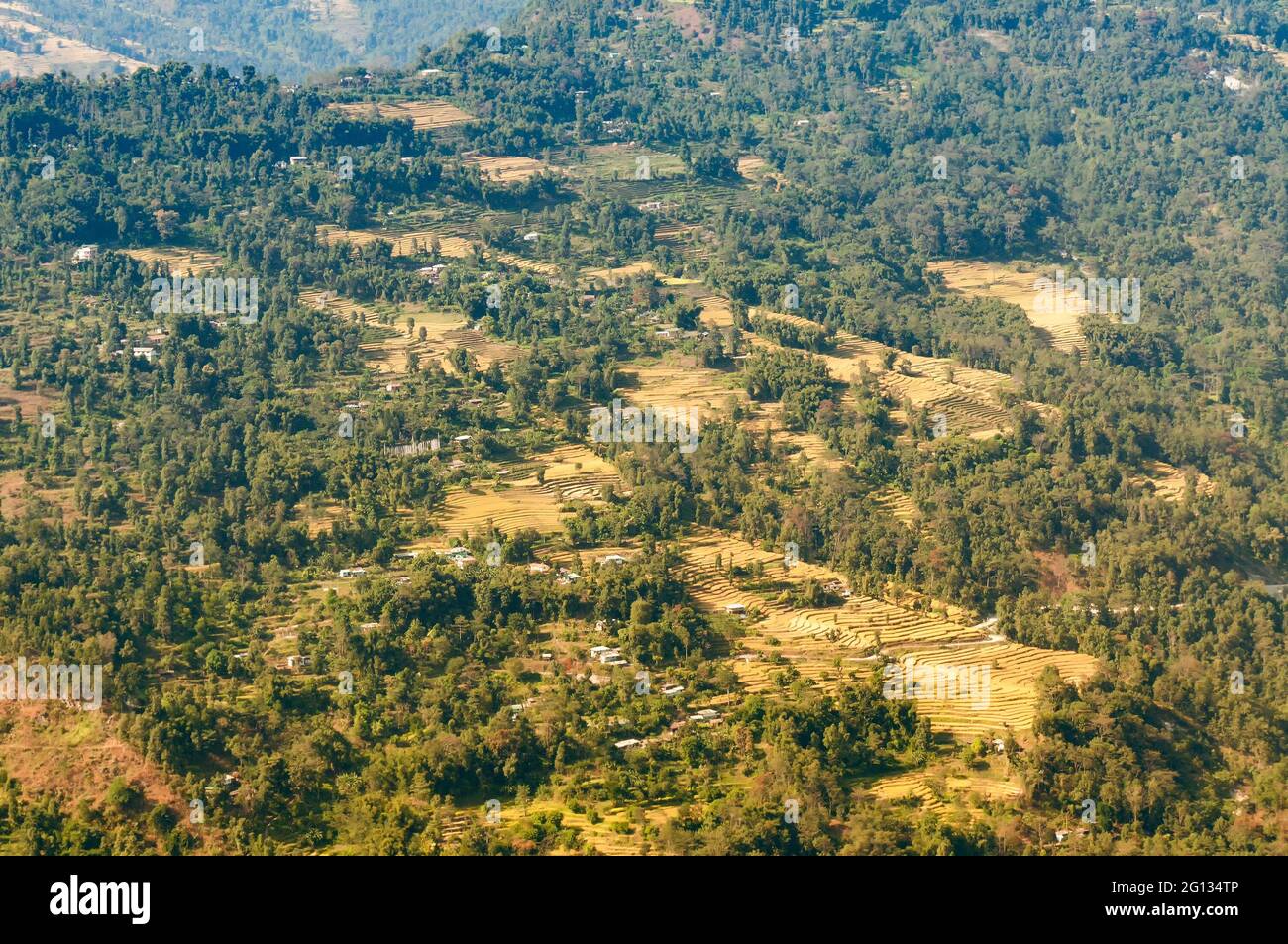 Sikkim agriculture hi-res stock photography and images - Alamy