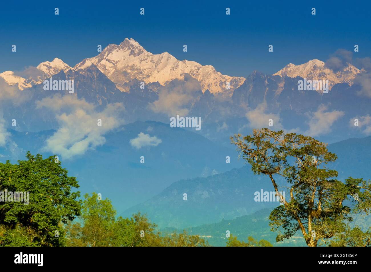 Beautiful view of trees of Silerygaon Village with Kanchenjunga mountain range at the background ...
