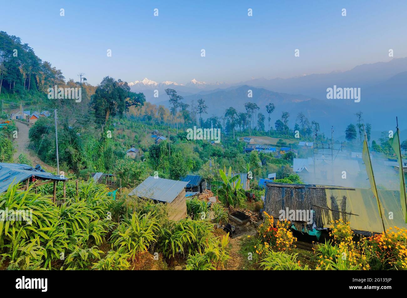 Beautiful view of Silerygaon Village with Kanchenjunga mountain range ...